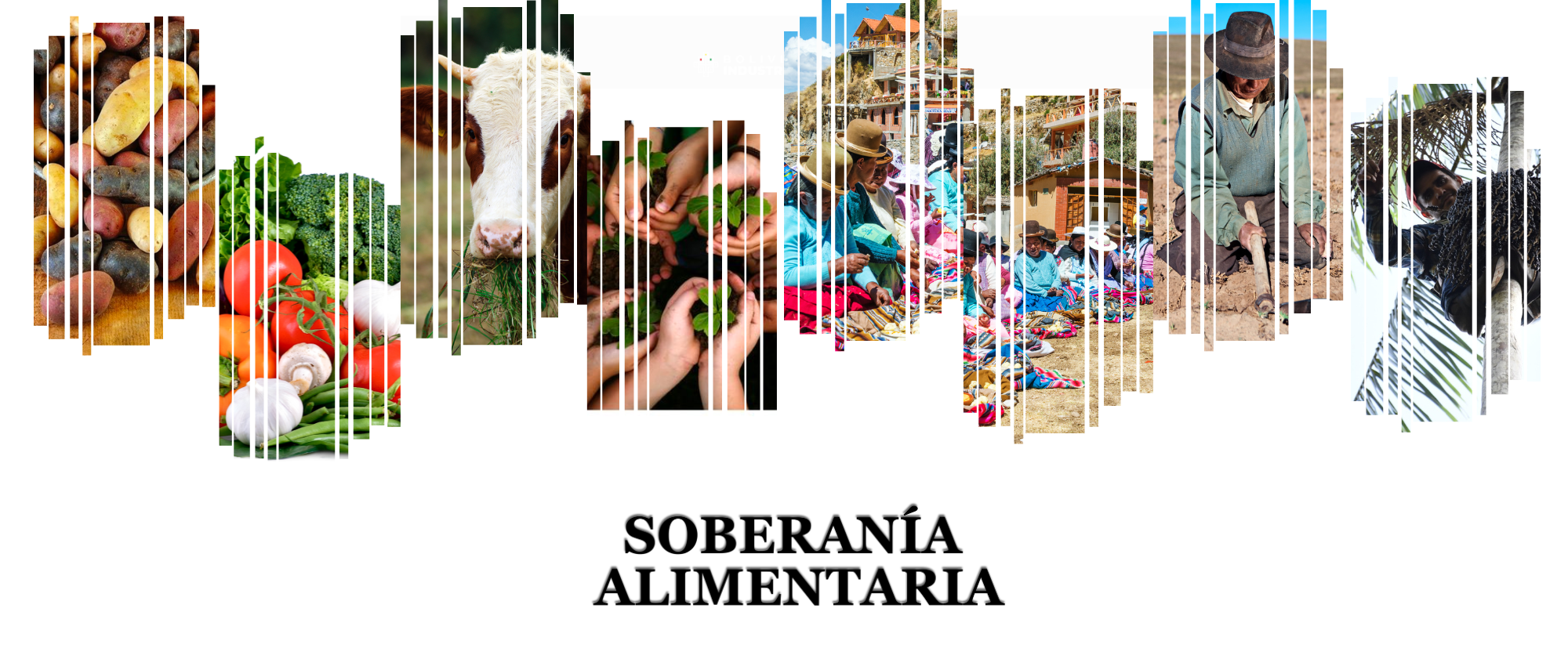 Normativa - Soberanía Alimentaria IPDSA